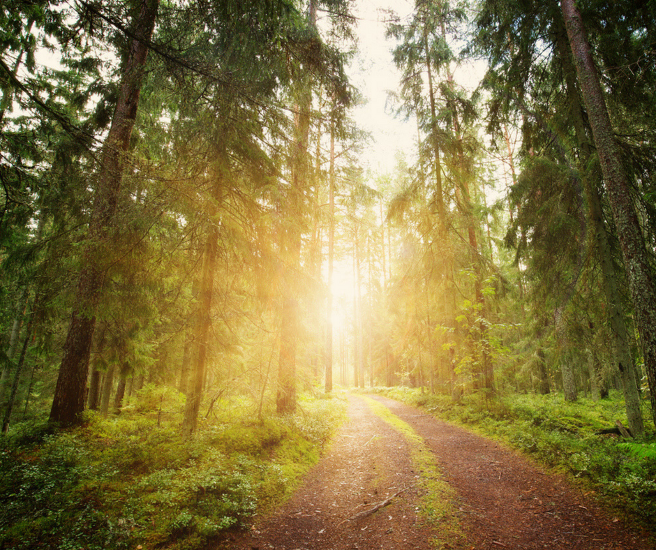 Walking "The Path" | Sober Living in Los Angeles | New Life House